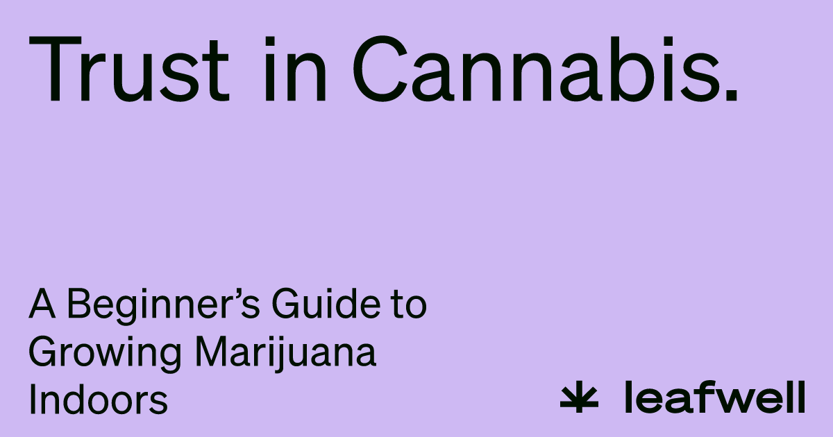 How to Grow Marijuana Indoors: Step-By-Step Guide - Leafwell